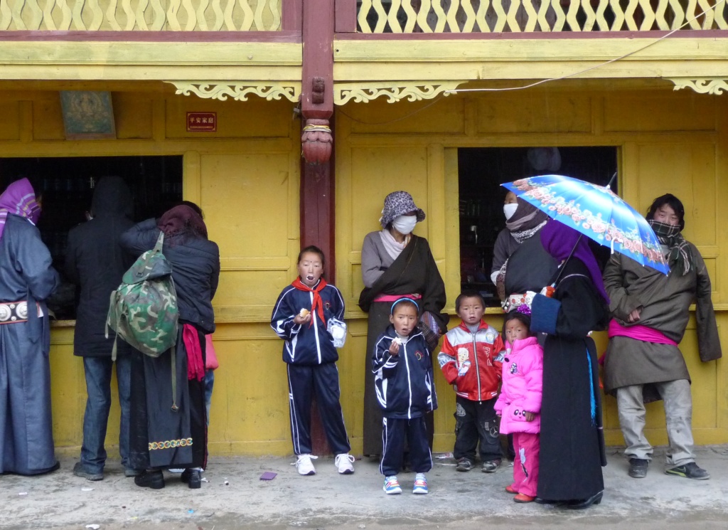 Birding trip Sichuan