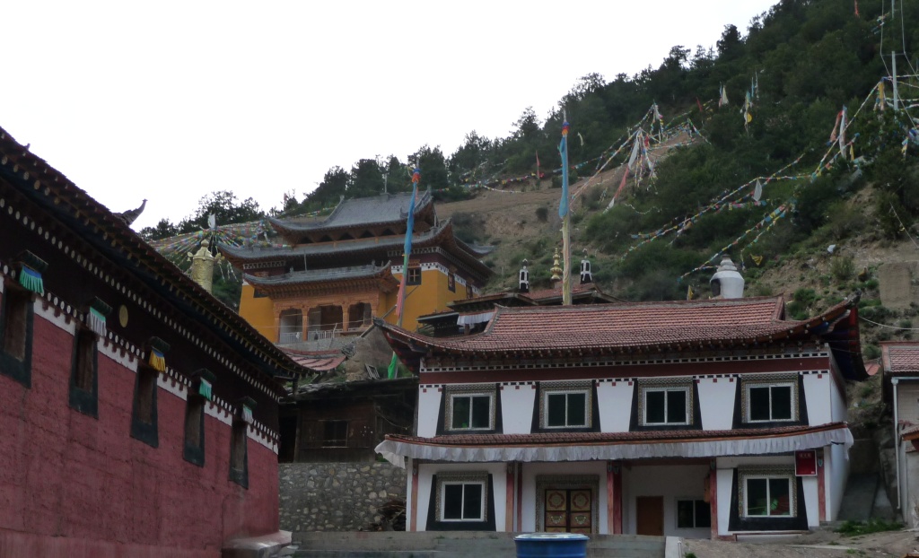 Birding trip Sichuan