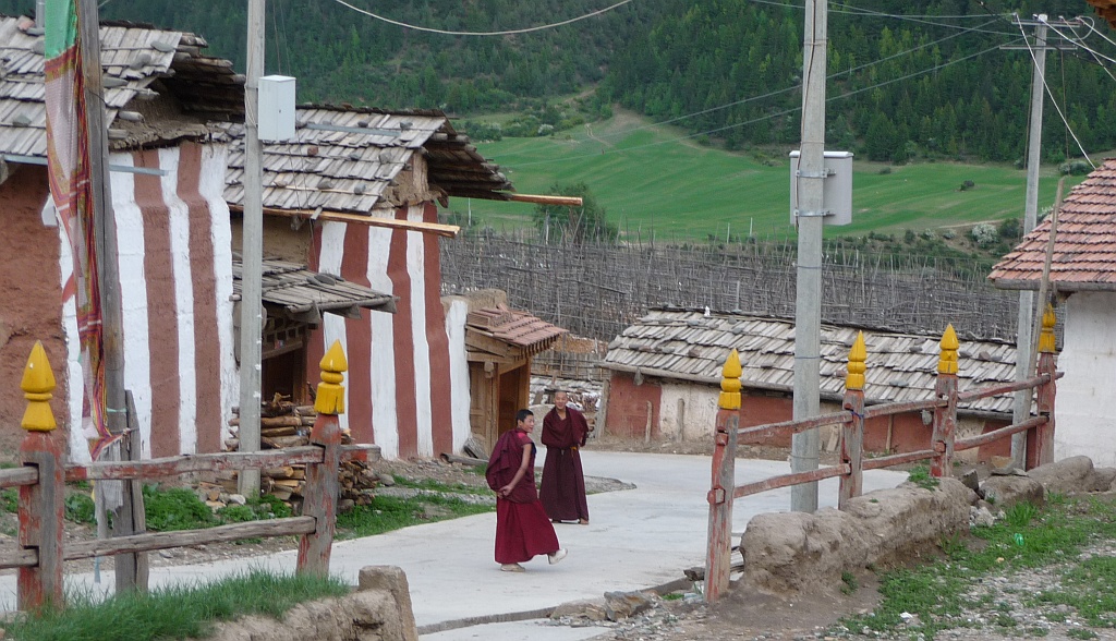 Birding trip Sichuan